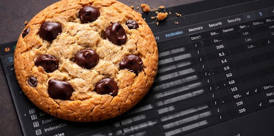 What are Cookies and Why Do We Use Them?